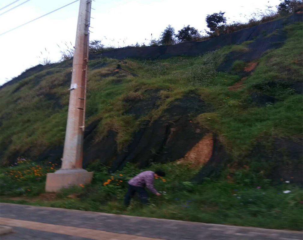 Protection engineering of slope greening equipment should be adapted to ...